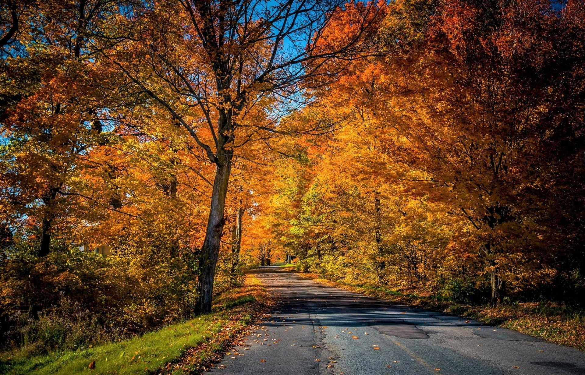 Autumn Road Hd Wallpaper
