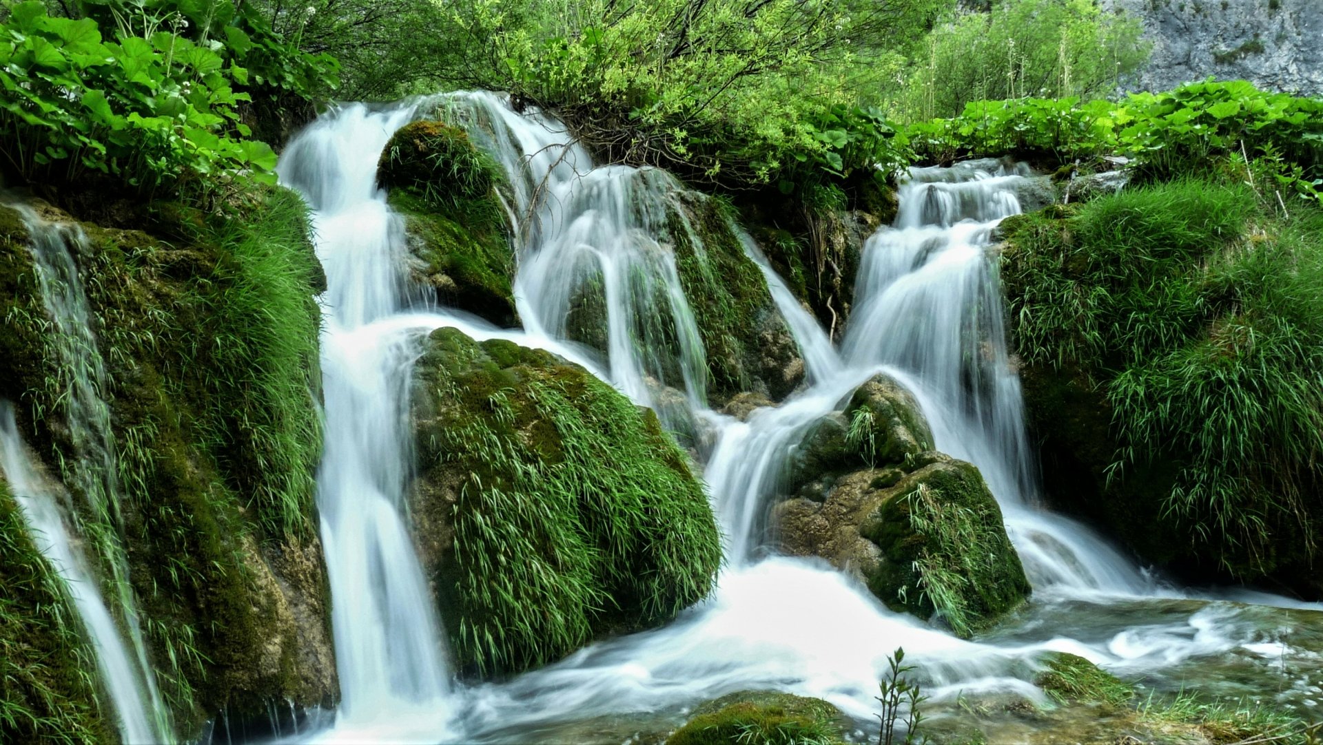Download Moss Green Nature Waterfall HD Wallpaper