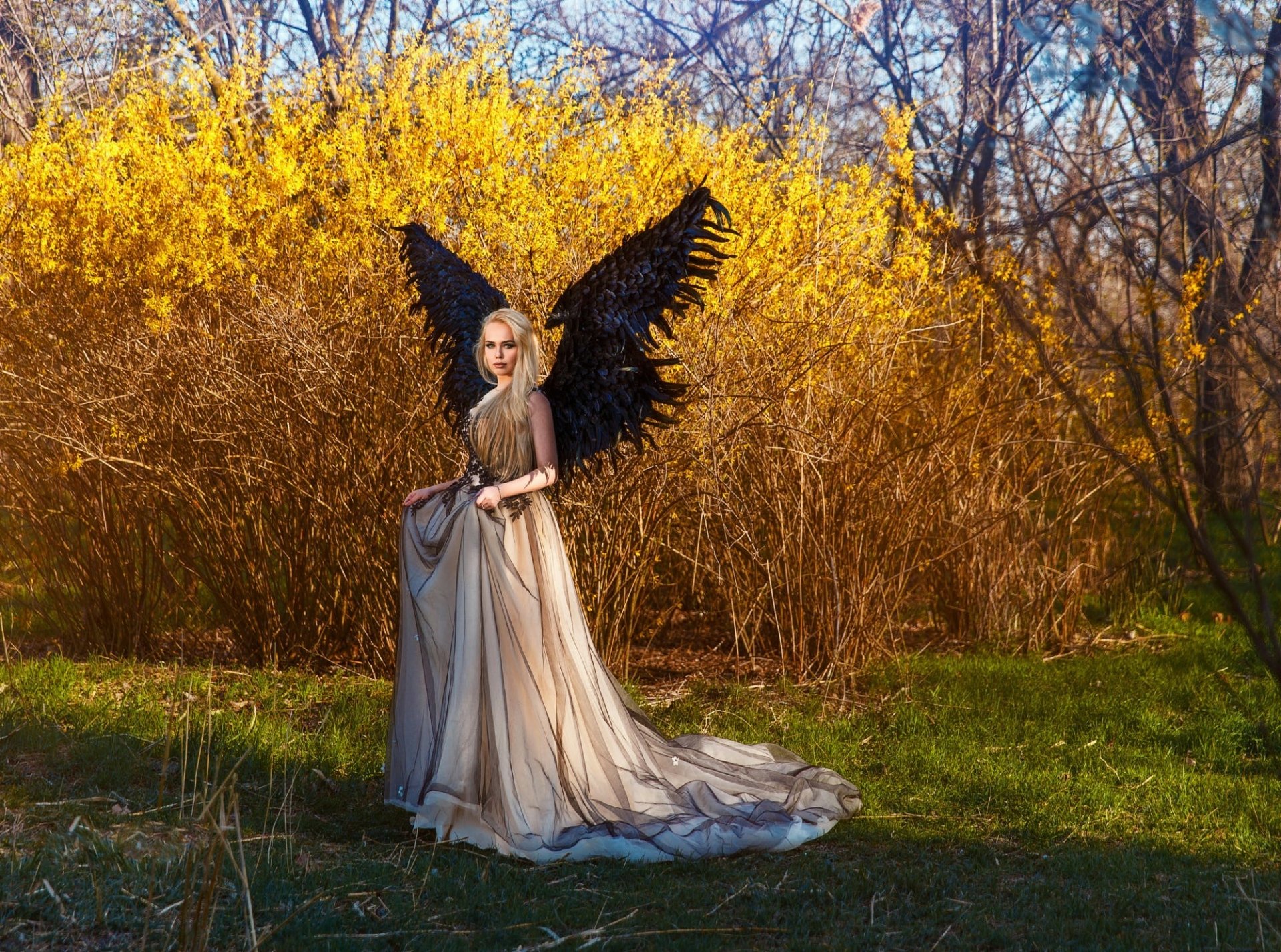 Download Blonde Model Fall Forest Wings Woman Angel HD Wallpaper