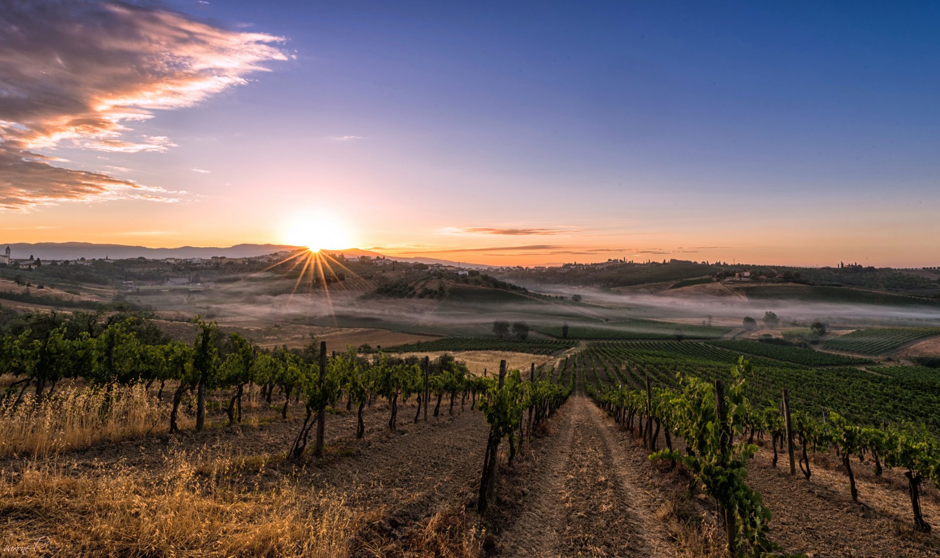 Sunrise Over Misty Vineyard: A Stunning 4K Landscape of Sky and Man ...