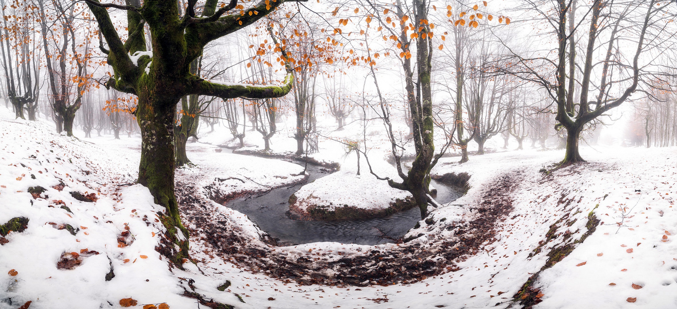 Stream Snow Tree Nature
