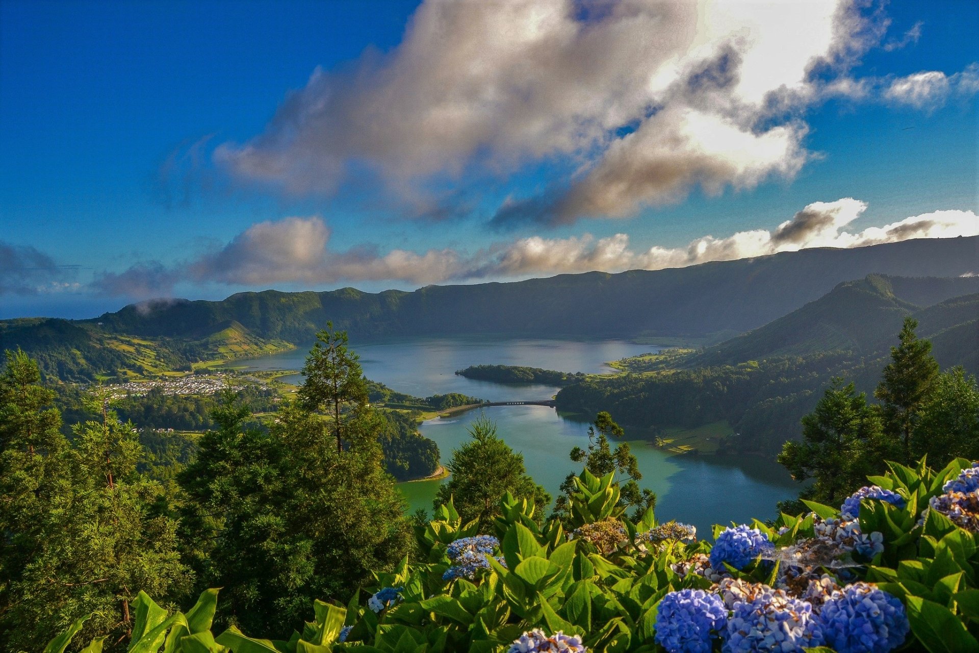 Download Lake Flower City Forest Mountain Portugal Azores Photography ...