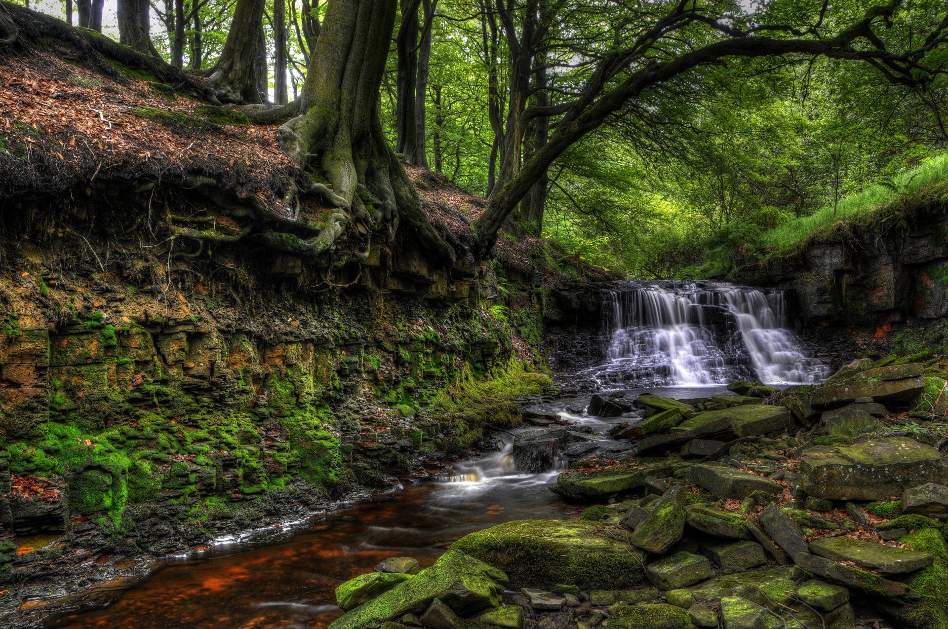 Tranquil Forest Stream and Waterfall | HD Nature Wallpaper | 3500x2325 ...