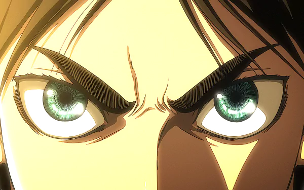 4K Ultra HD Peacock Feather Wallpaper: Vibrant Detail and Texture by ...