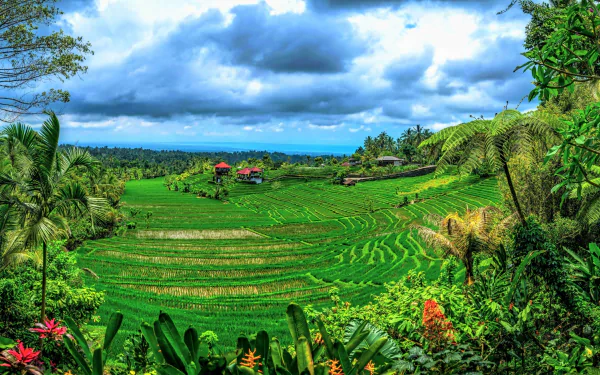 [10+] Bali 4k Wallpapers