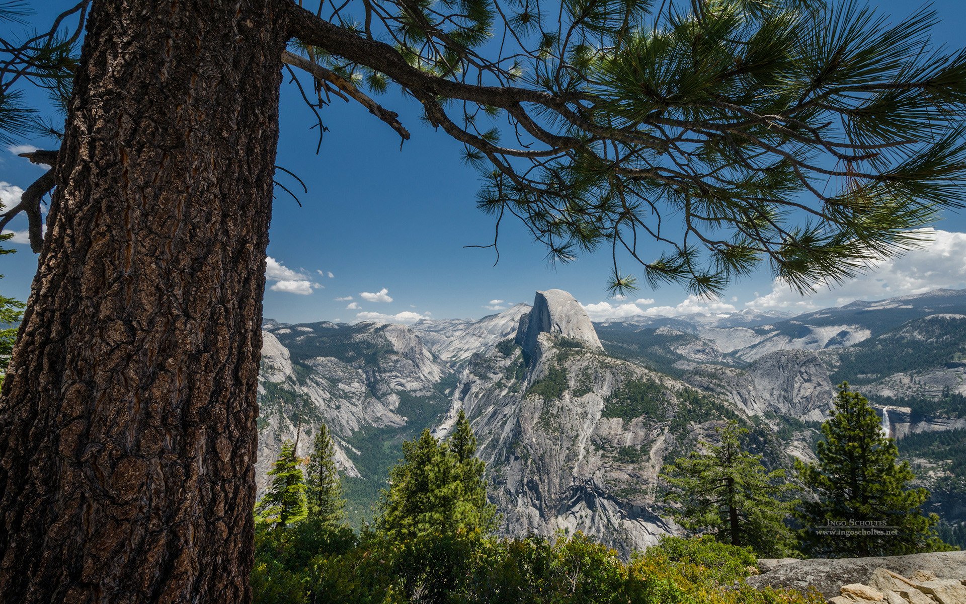 Download Tree Valley Mountain Nature Yosemite National Park HD ...