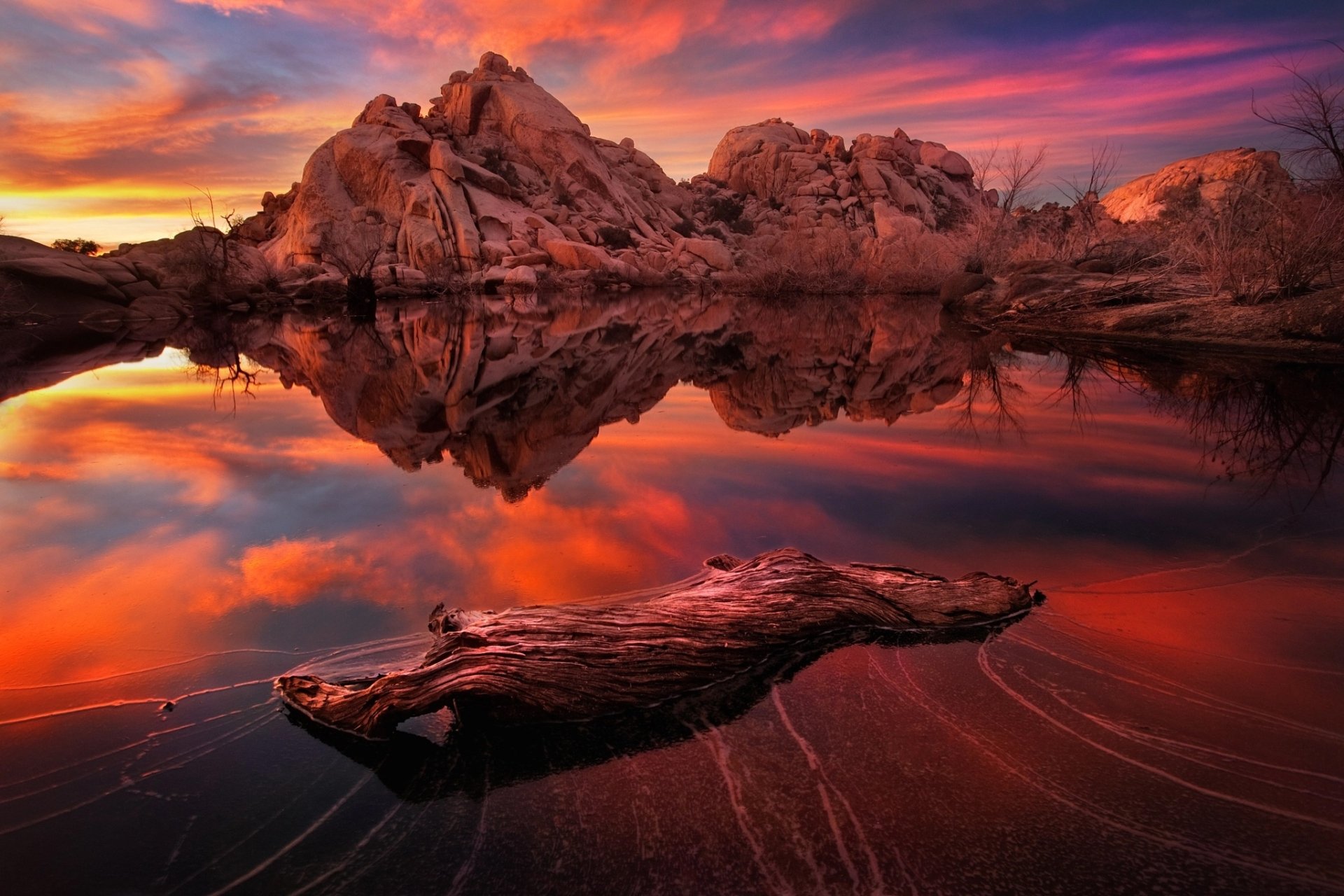 Driftwood Sunset Lake Reflection HD Wallpaper