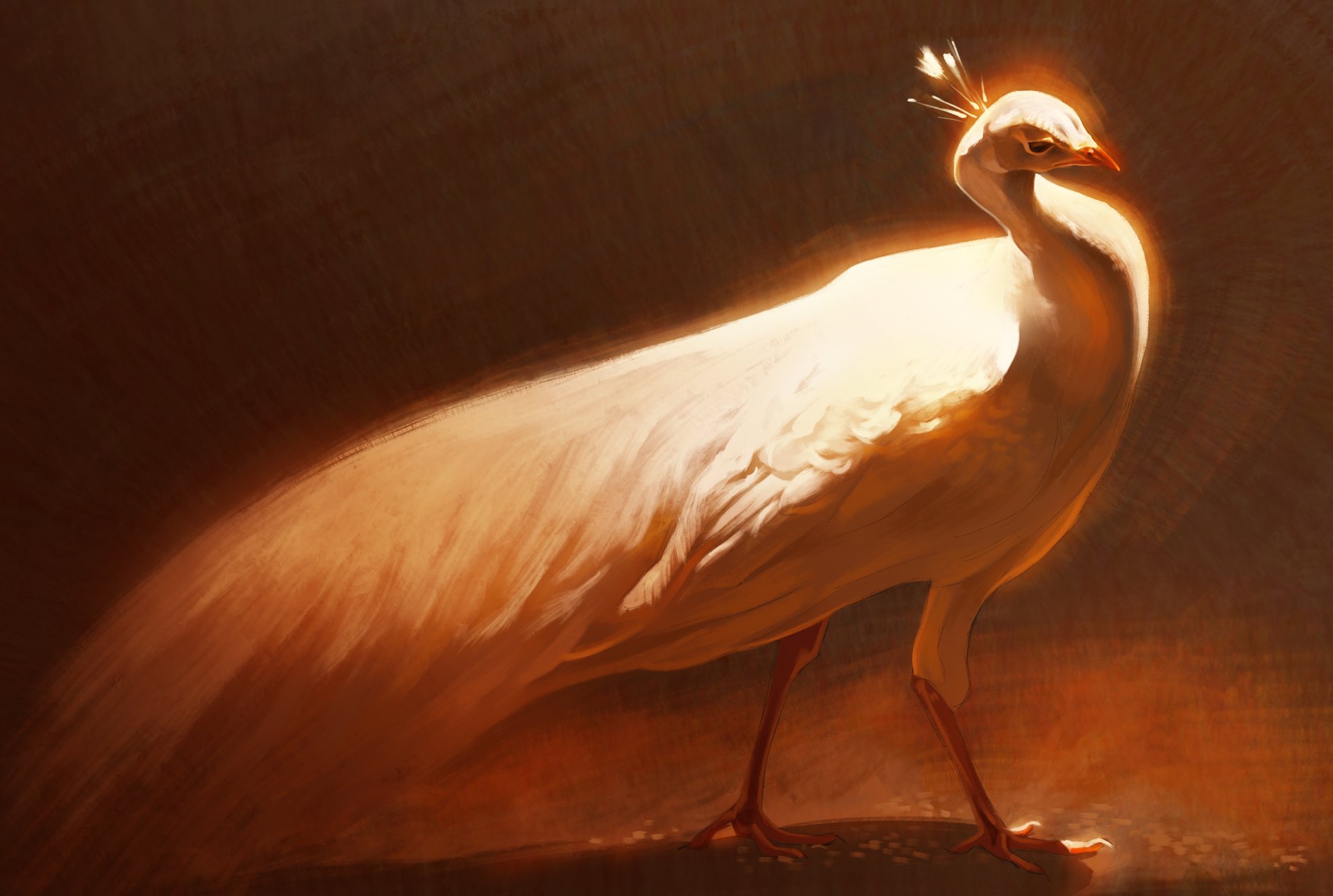 Majestic Fantasy Peacock – 4K Ultra HD Bird Wallpaper by Pixxus