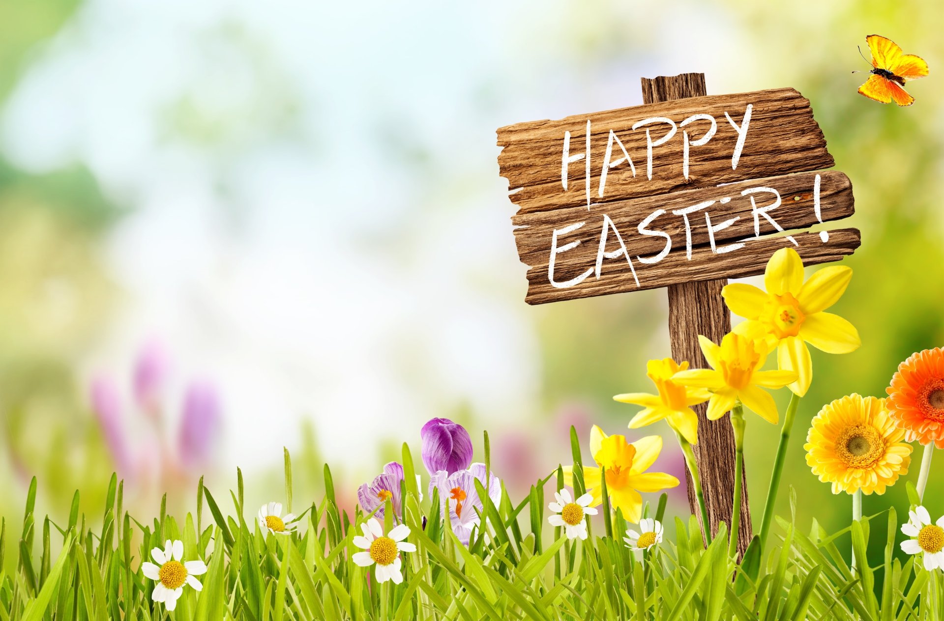 Spring Blossoms Celebrate a Happy Easter – 4K Ultra HD Holiday Wallpaper