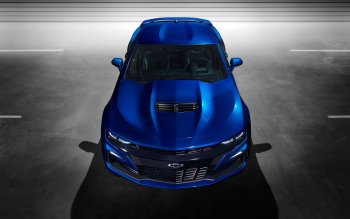 Download Chevrolet Car Chevrolet Camaro Muscle Car Vehicle PFP