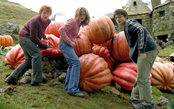 Harry Potter And The Prisoner Of Azkaban 4k Wallpapers