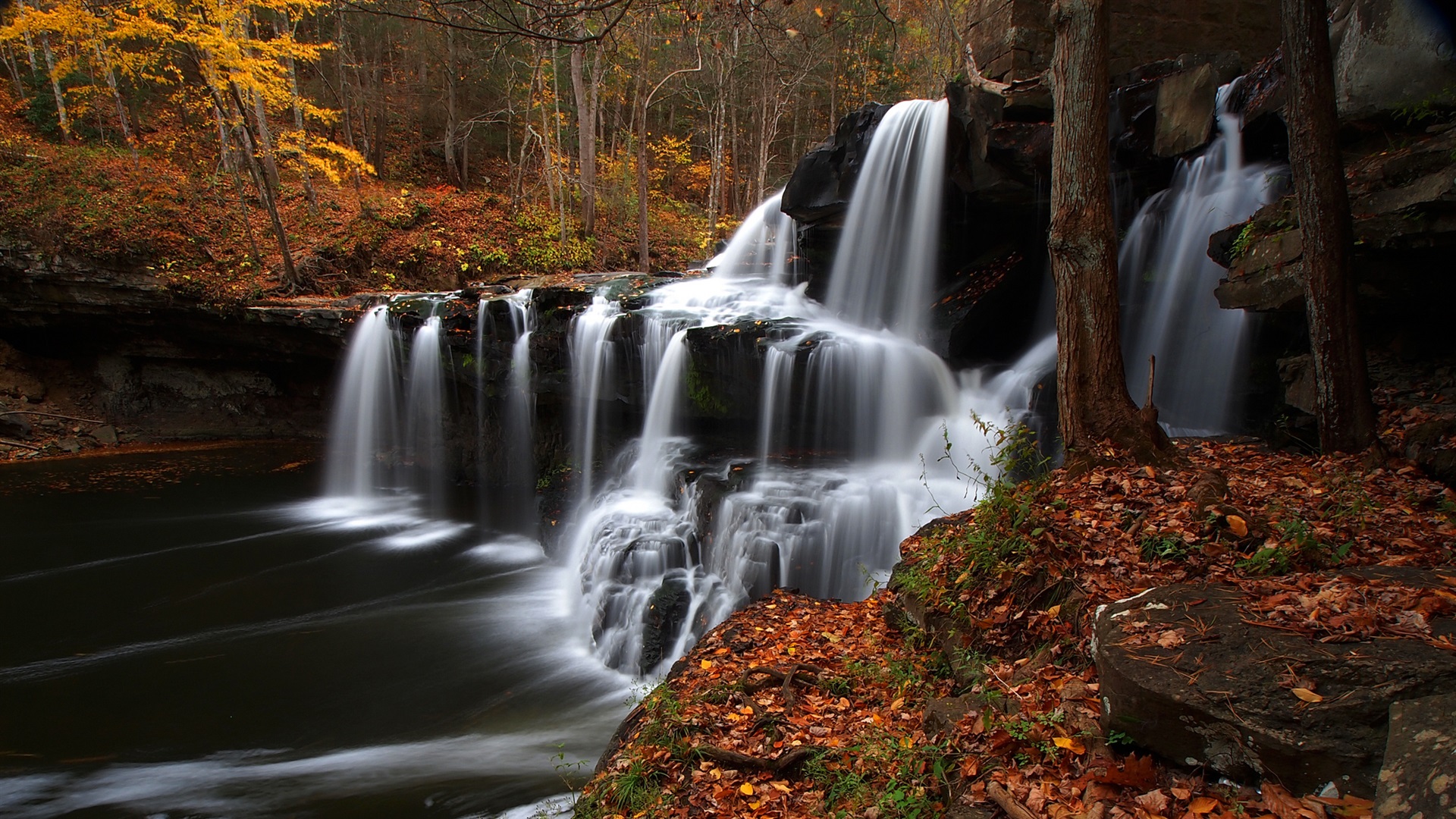 Download Forest Fall Nature Waterfall HD Wallpaper