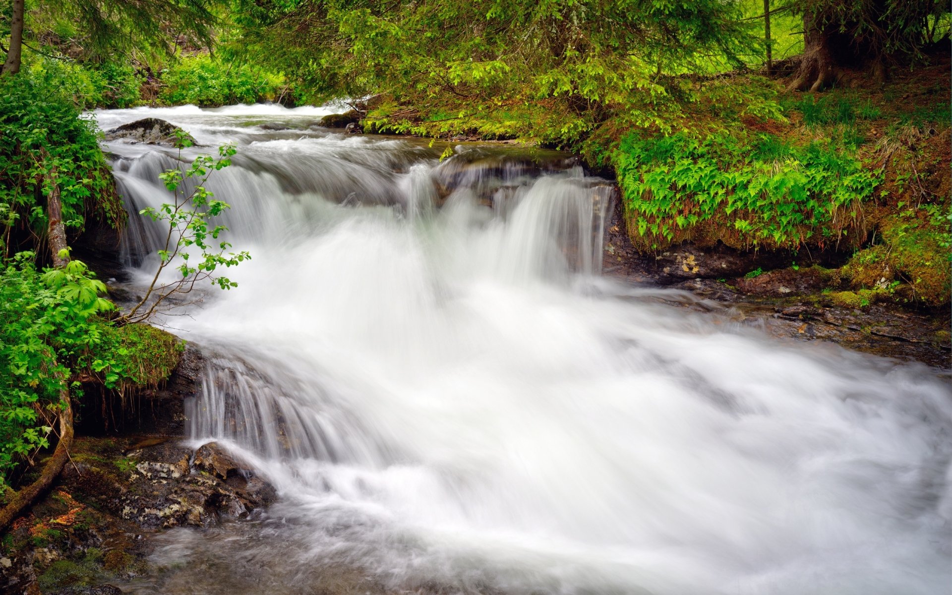 Download Greenery Forest Waterfall Nature Stream HD Wallpaper