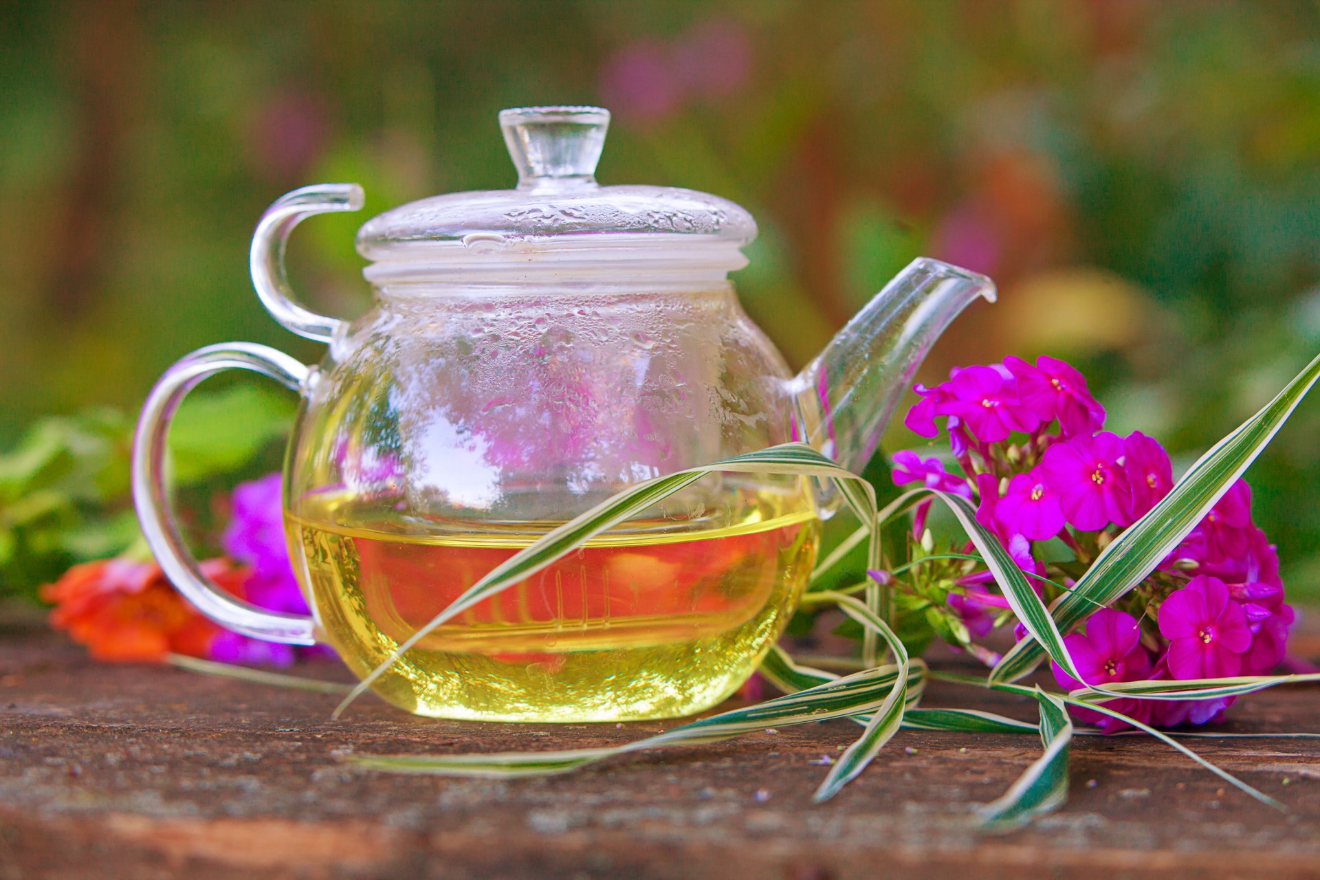 Download Close-up Pink Flower Teapot Food Tea HD Wallpaper