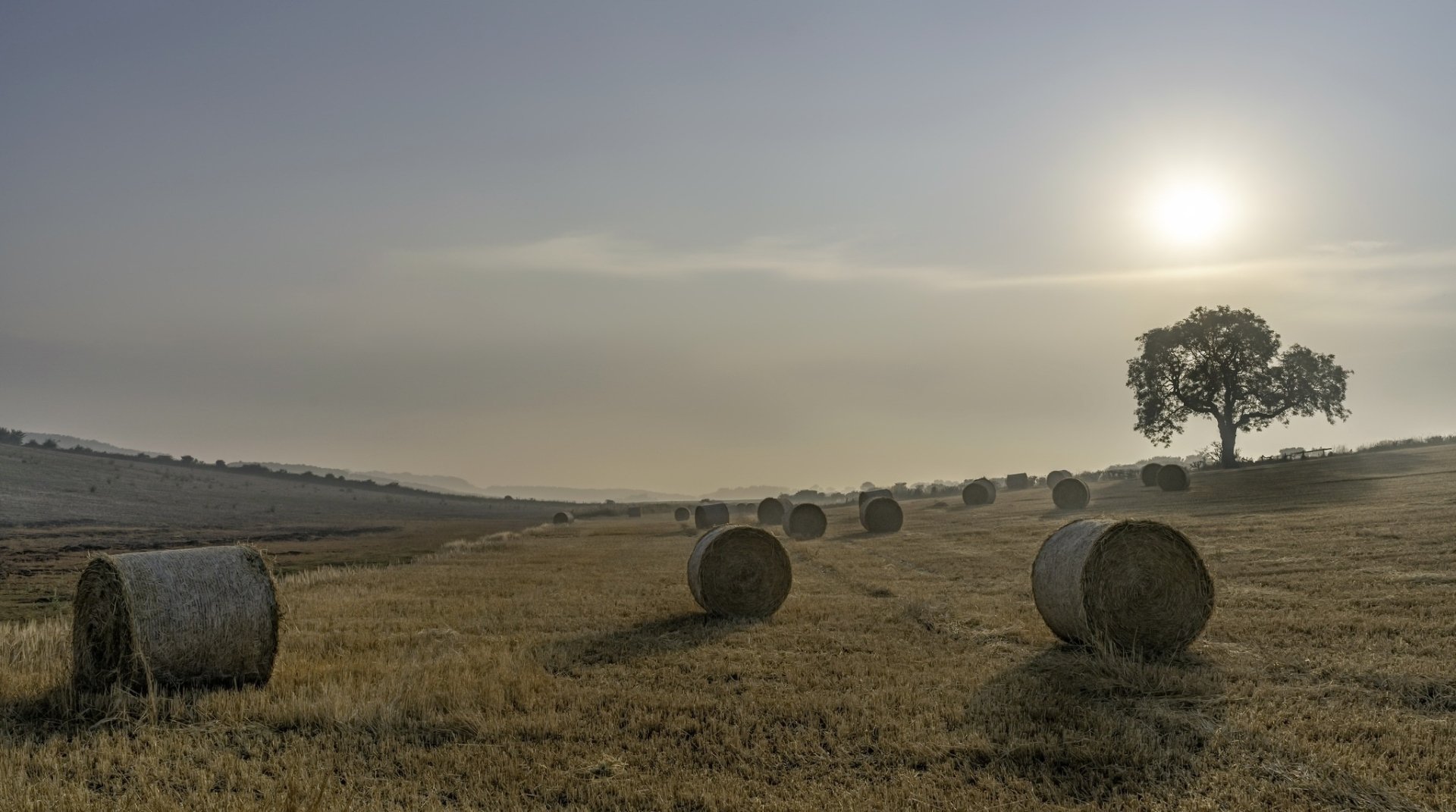 Summer Glow Over Haystack Fields: A Serene Nature HD Wallpaper