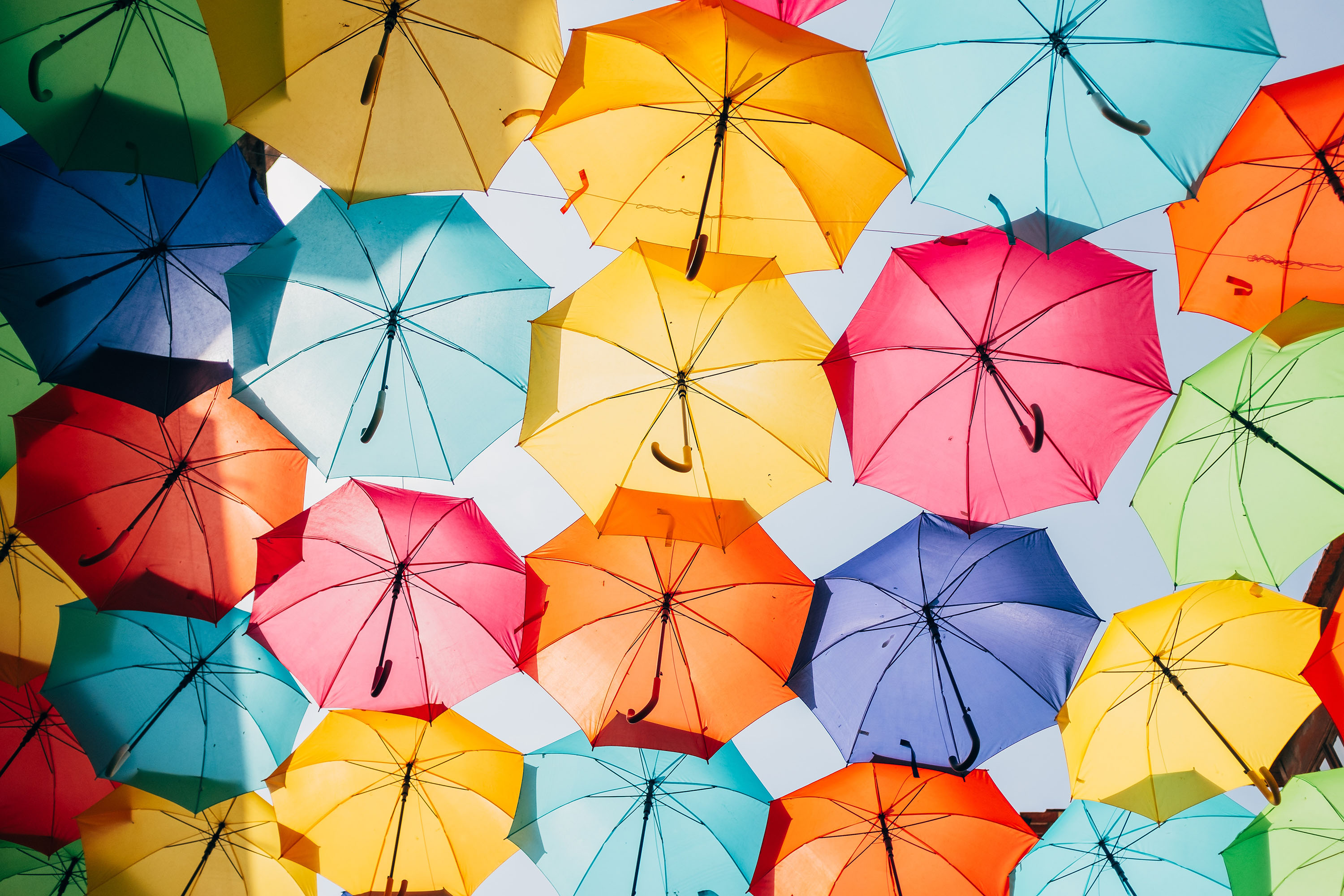Download Photography Umbrella HD Wallpaper