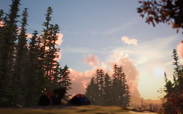 [10+] Life Is Strange 2 Wallpapers