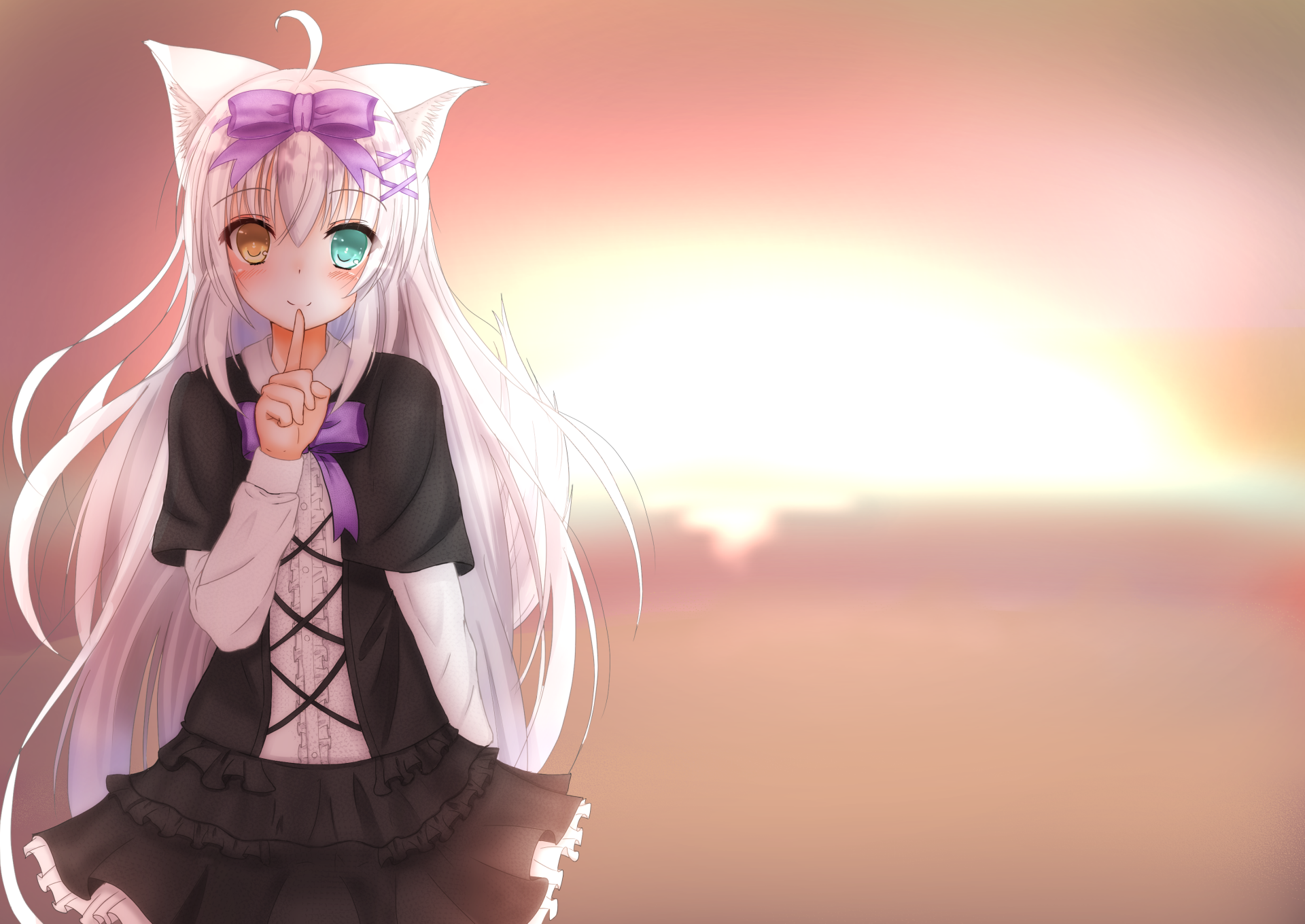 Download Heterochromia Long Hair White Hair Cat Girl Anime Original HD ...