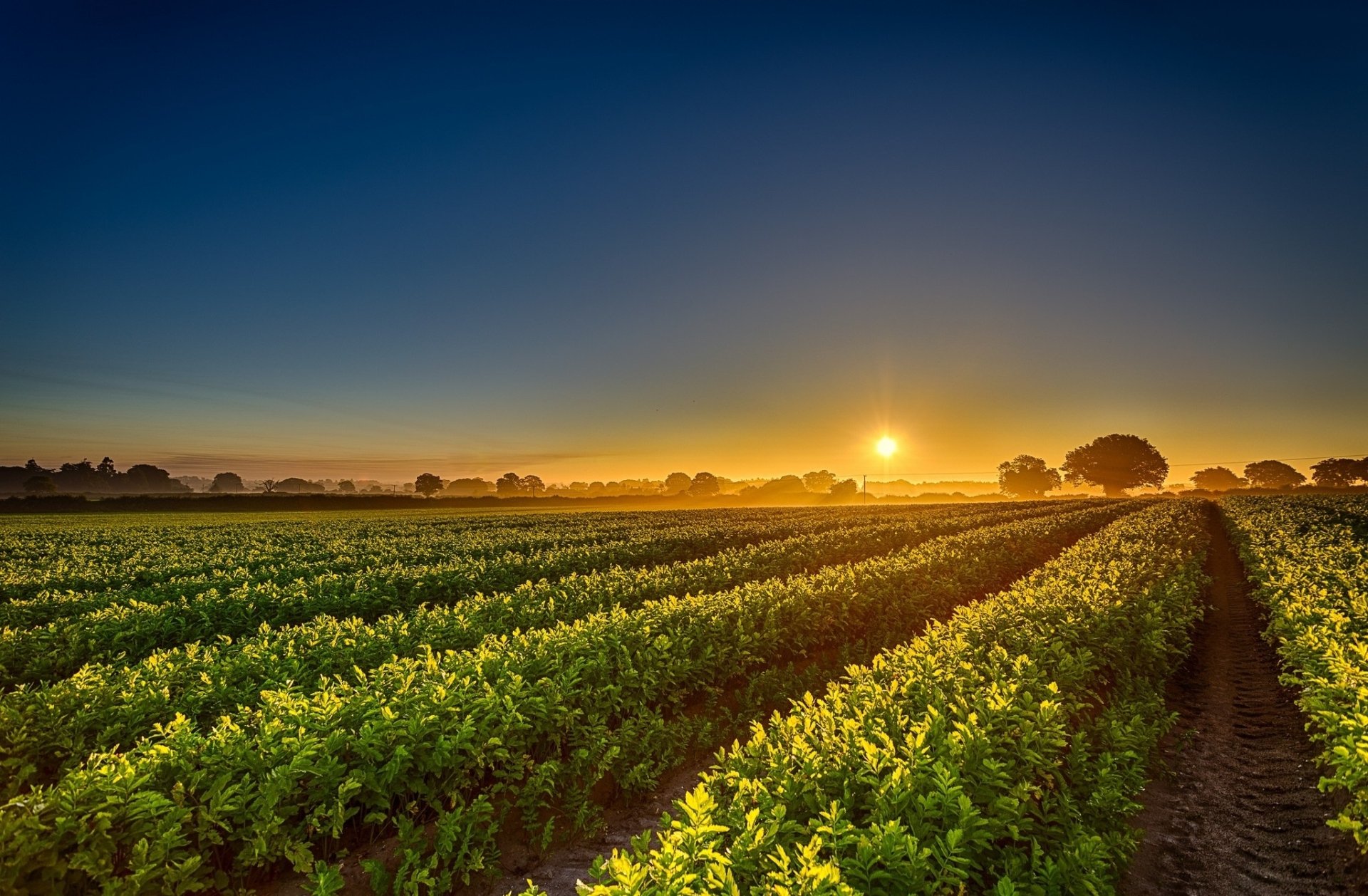 Sunrise Over Lush Fields: A Serene HD Landscape | 2048x1342 | Wallpaper ...