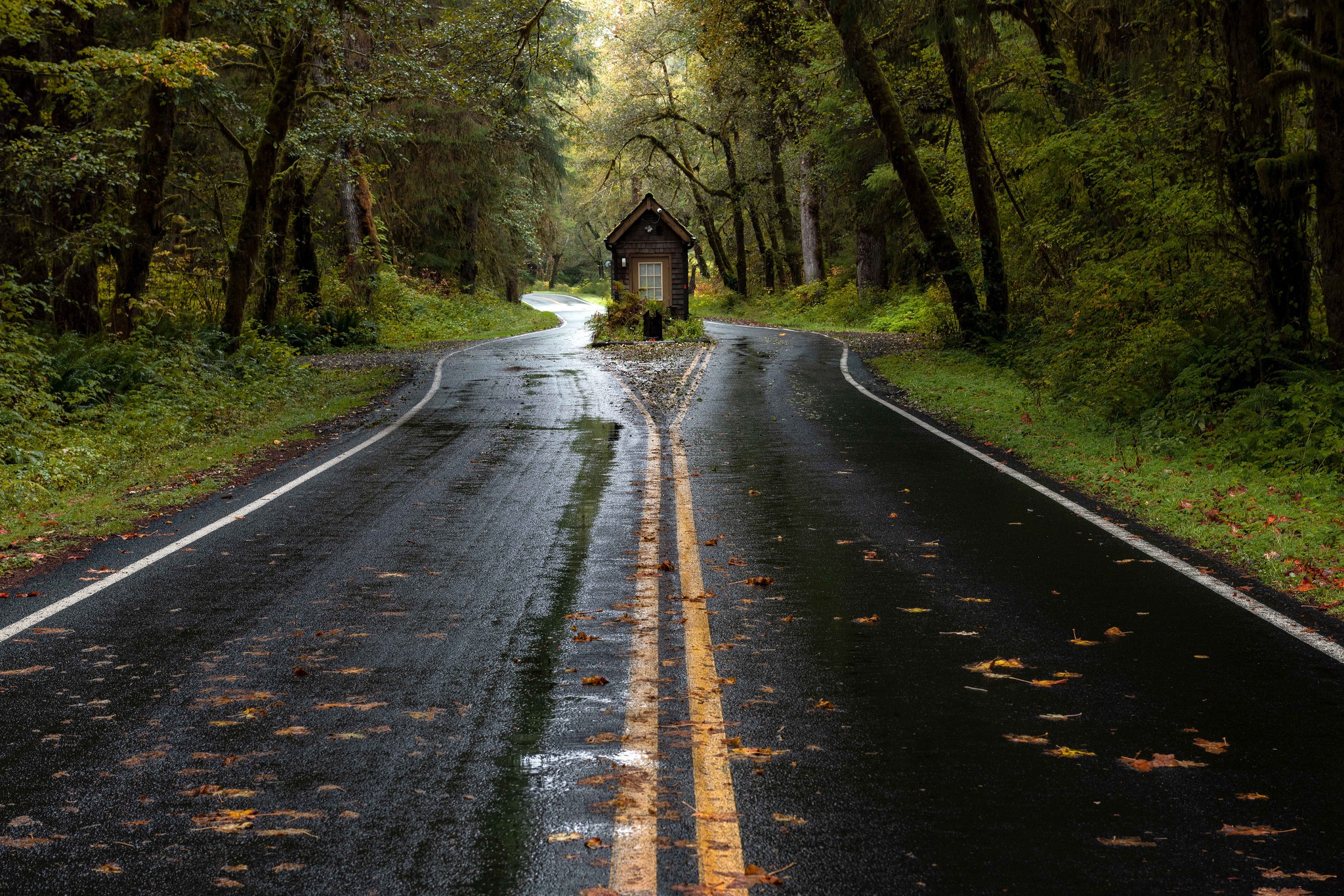 Serene Nature Meets Man-Made Roads: An HD Wallpaper