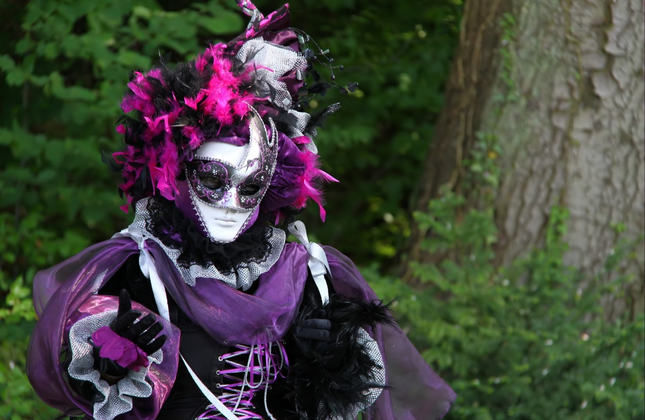 Download Photography Mask HD Wallpaper