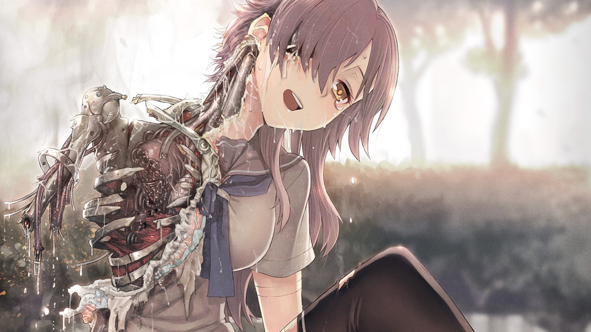 Anime Cyborg Art