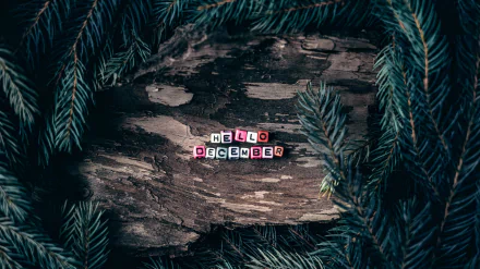 Hello December - Desktop Wallpapers, Phone Wallpaper, PFP, Gifs, and More!