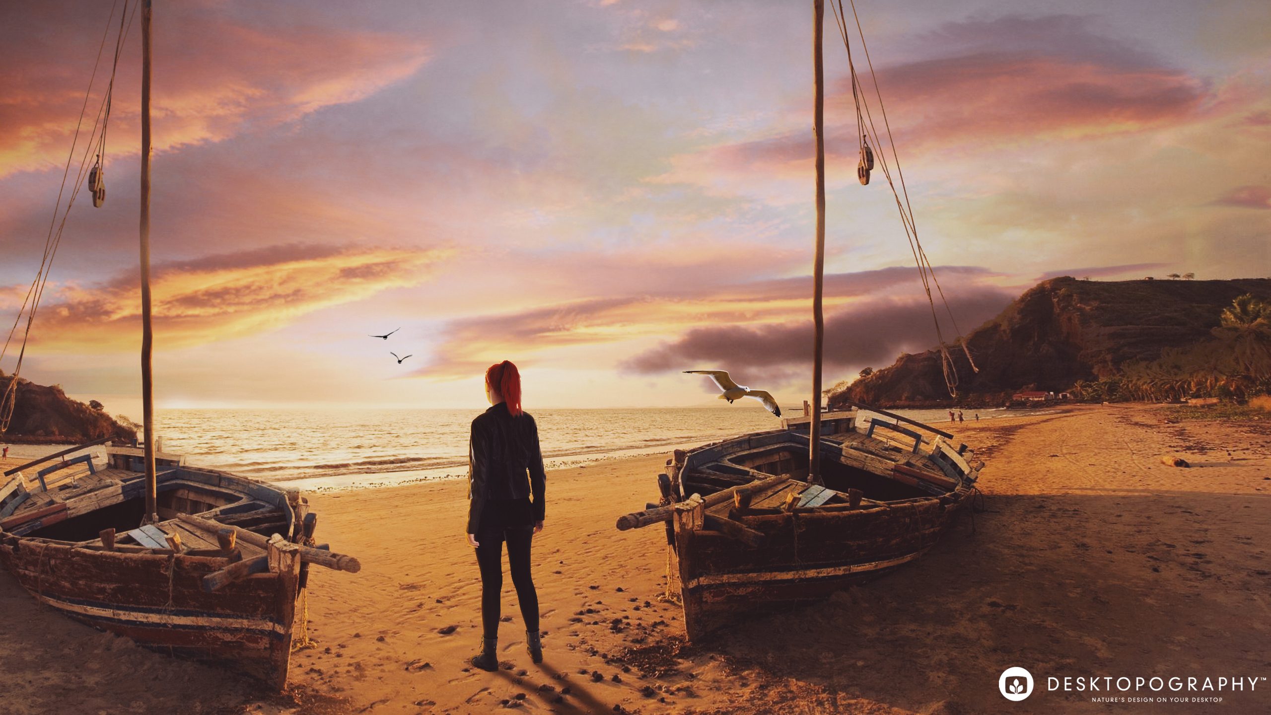 Download Sky Bird Boat Sunset Landscape Artistic Desktopography HD ...