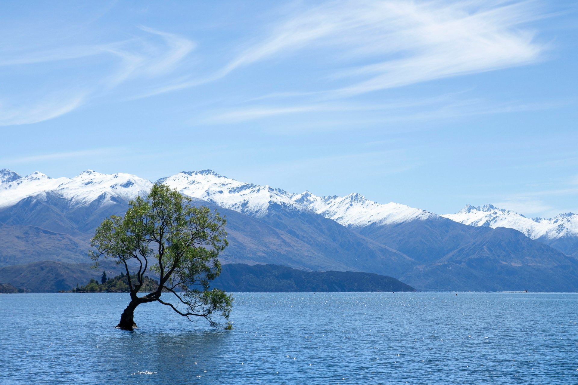 Lake Wanaka Serenity: Majestic Mountains & Lone Tree in 4K Ultra HD ...