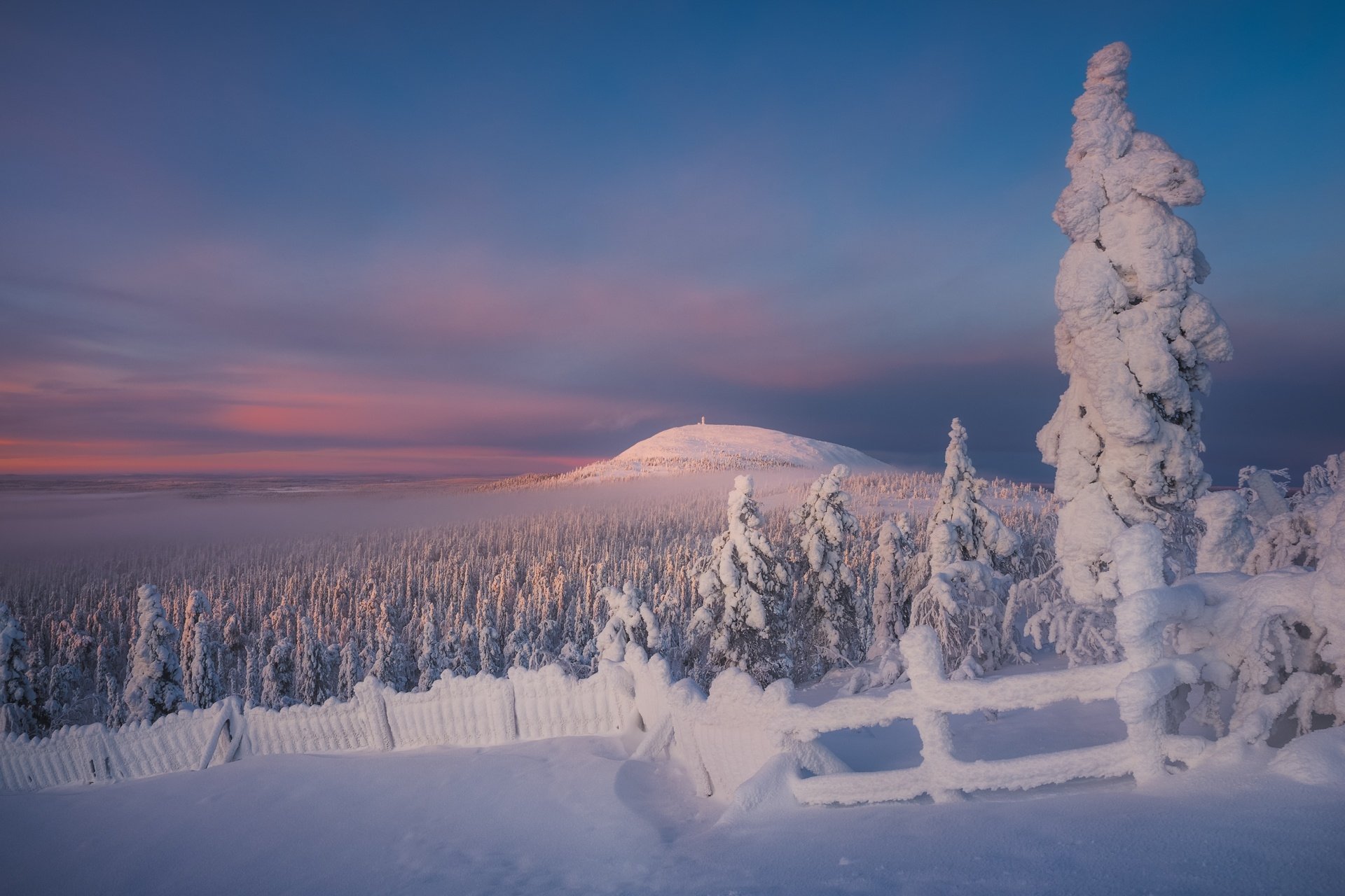 Winter's Embrace: Stunning Snow-Covered Landscape HD Wallpaper ...