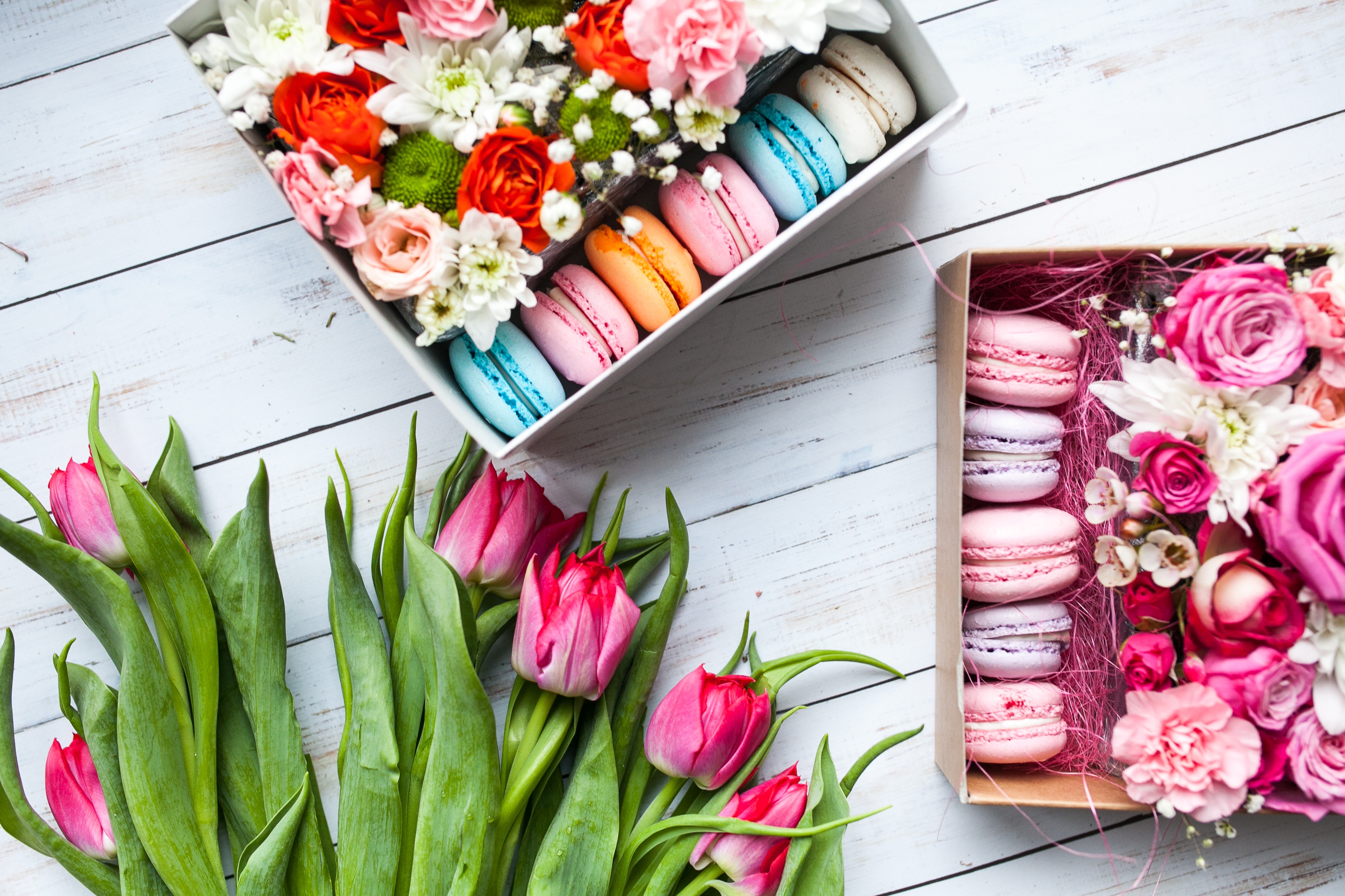 Download Flower Tulip Sweets Macaron Food Still Life HD Wallpaper